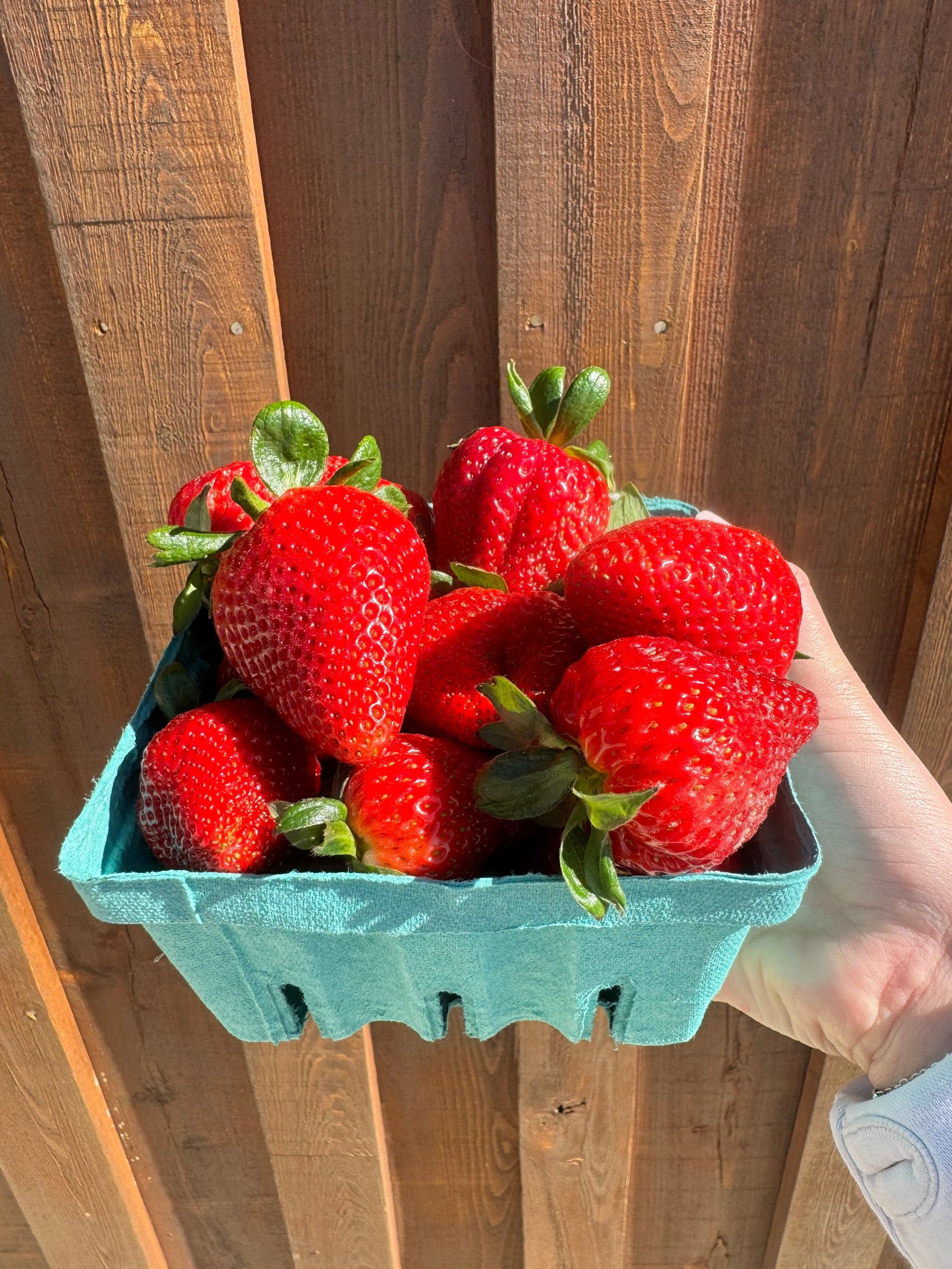 Fresh Picked Strawberries | Naylor Roadside Market